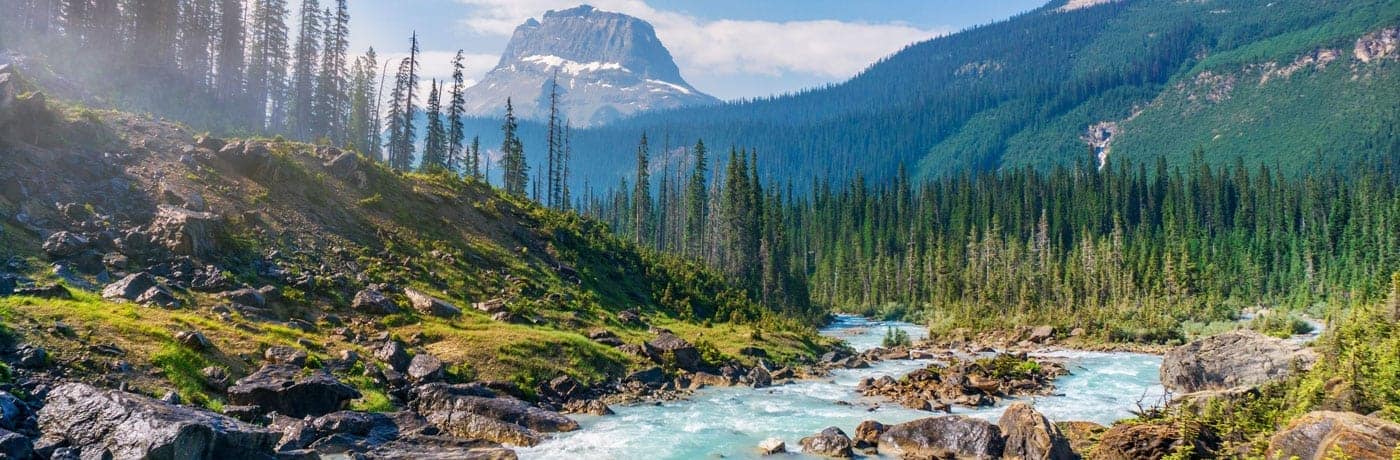 10 National Park Safety Tips To Keep Yourself Safe Outdoors