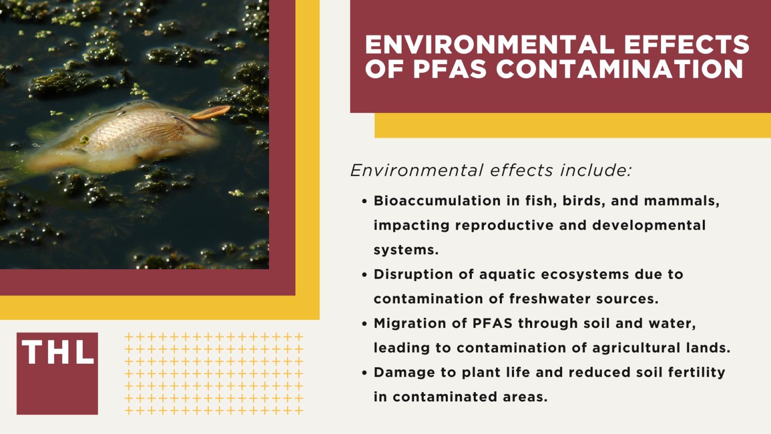PFAS Water Contamination Lawsuit [2025 Guide] | TorHoerman Law