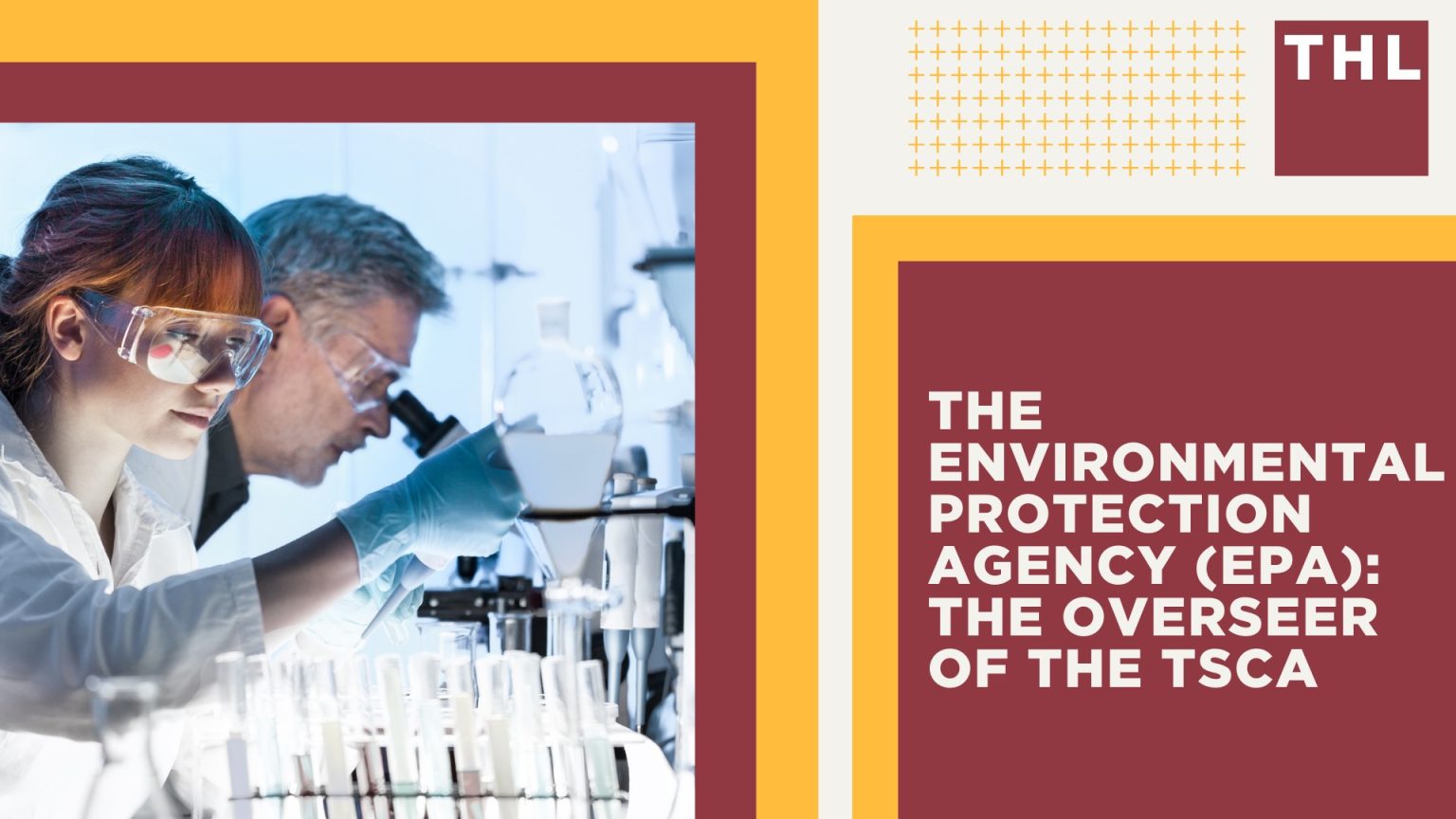 What Is The Toxic Substances Control Act (TSCA)?