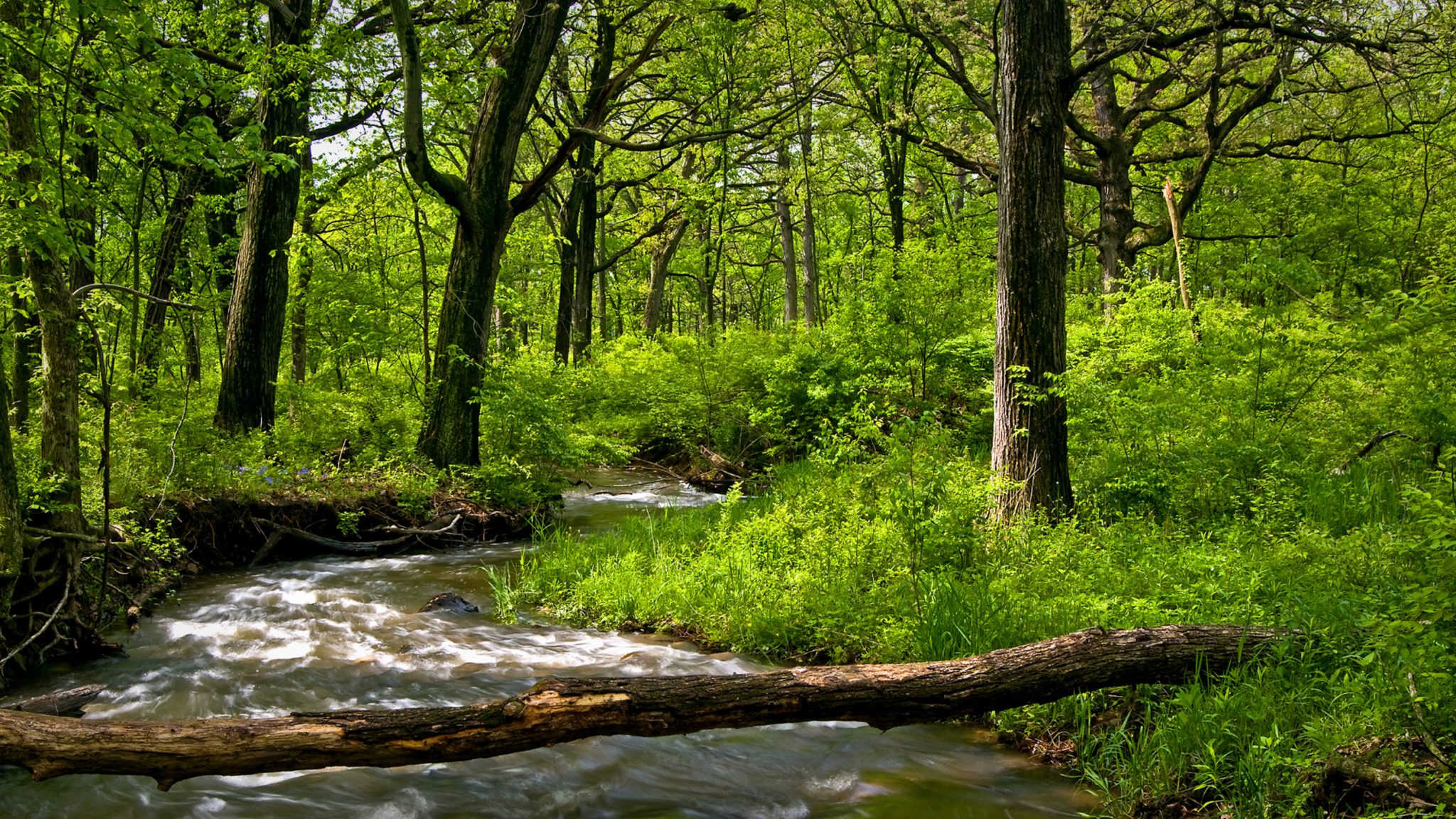 Hazel Crest Pedestrian Accident Lawyer | Call (312) 626-0354